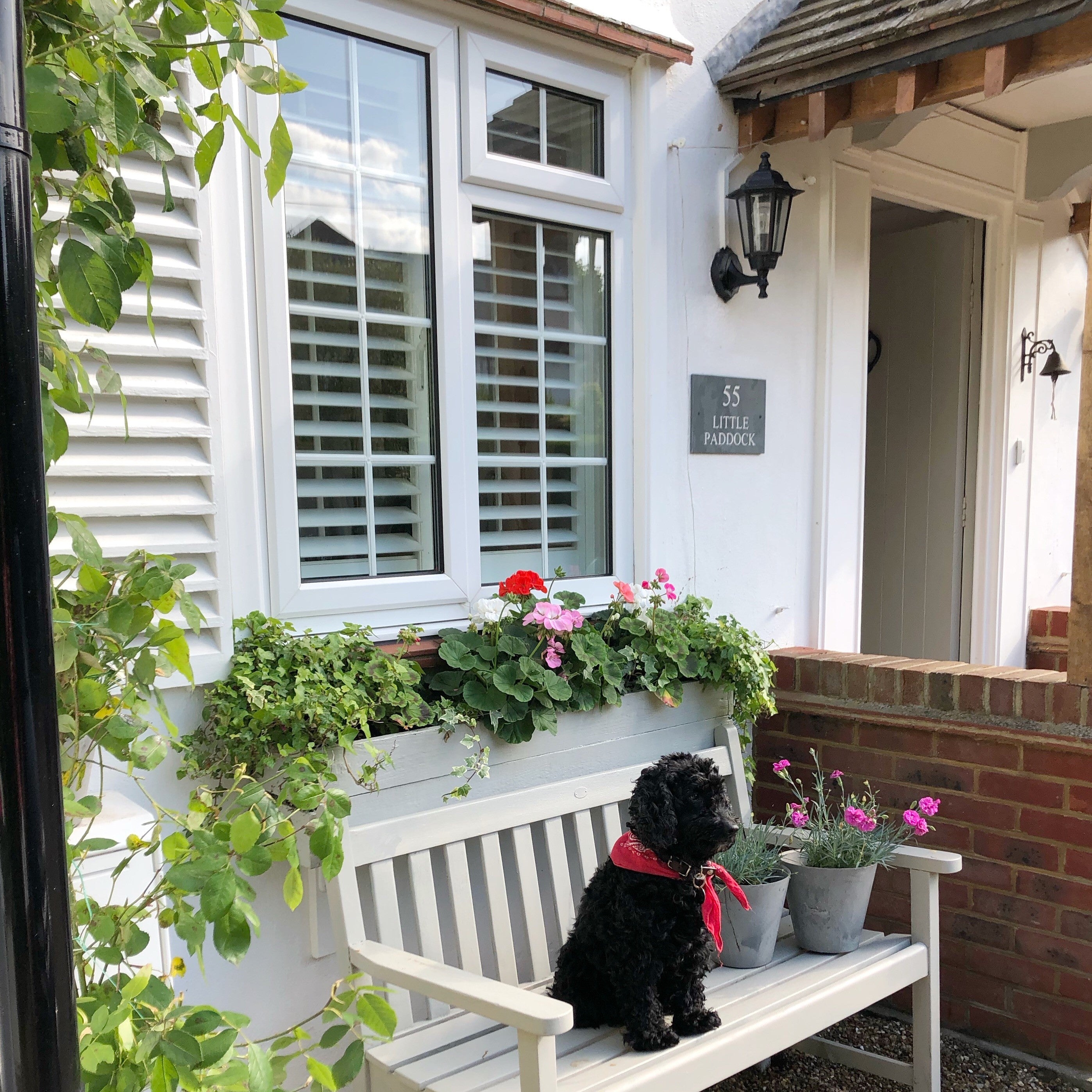Q&A with Little Paddock Cottage by Sophie Allport