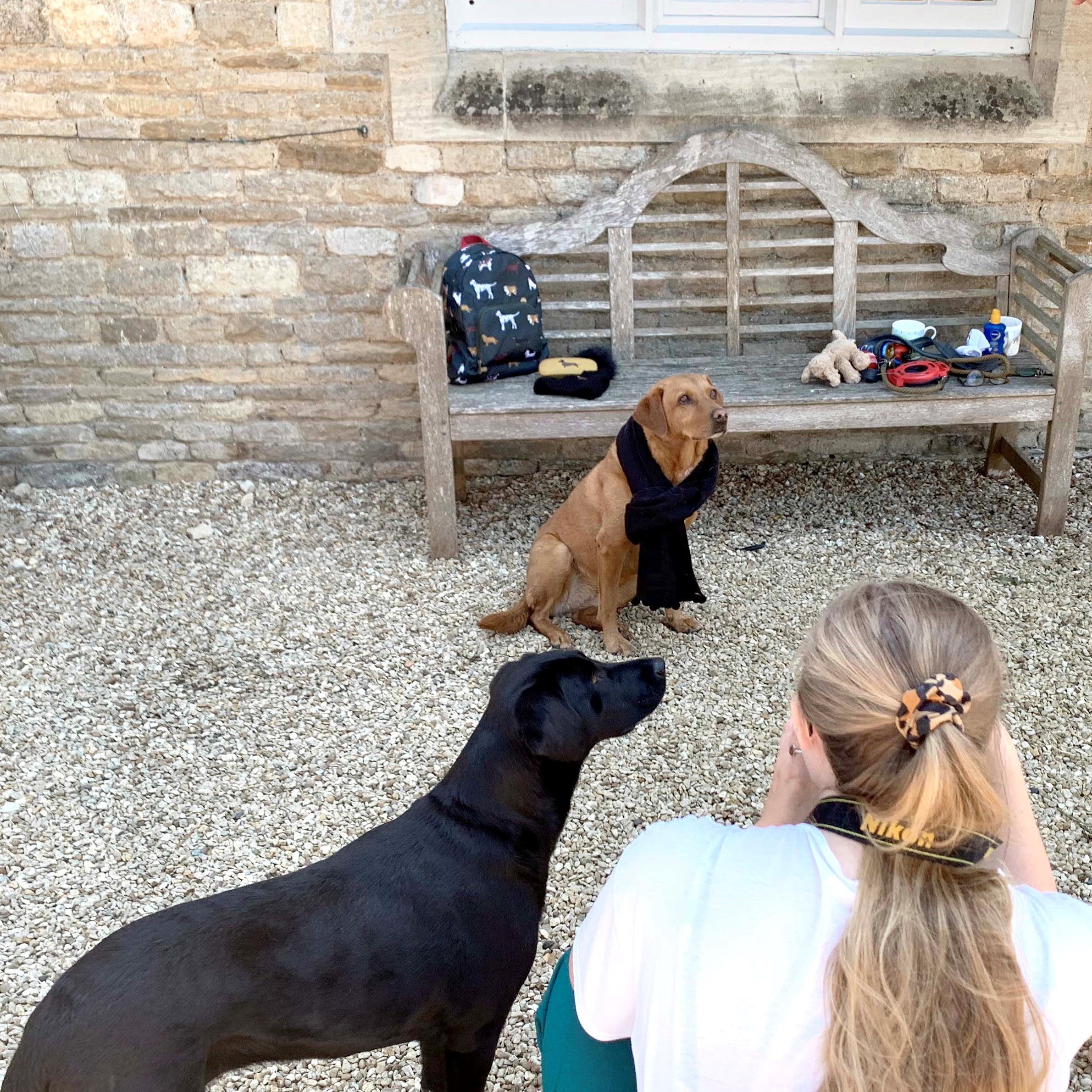 Behind The Scenes Of Our Fetch Photoshoot