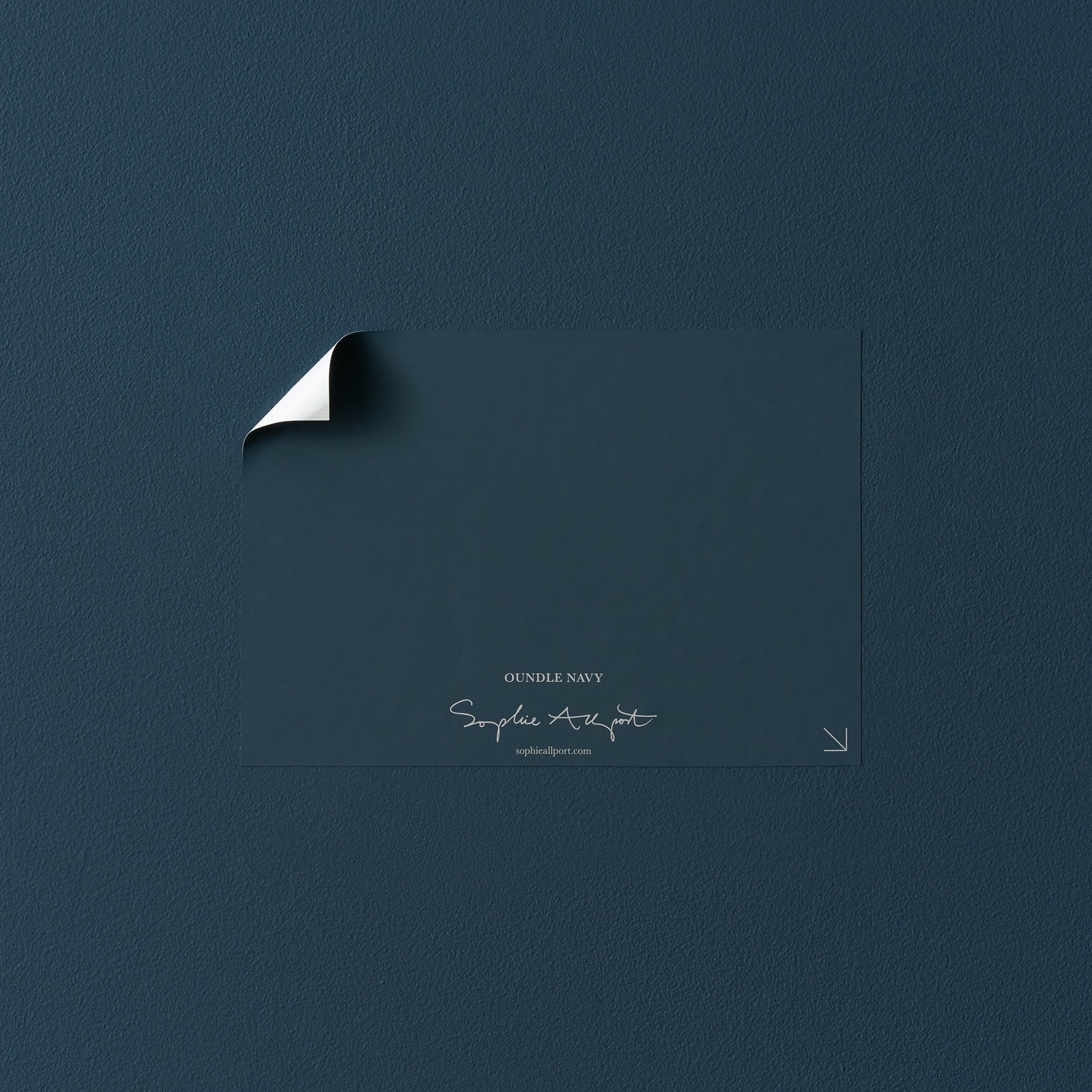 Oundle Navy Paint Sample by Sophie Allport