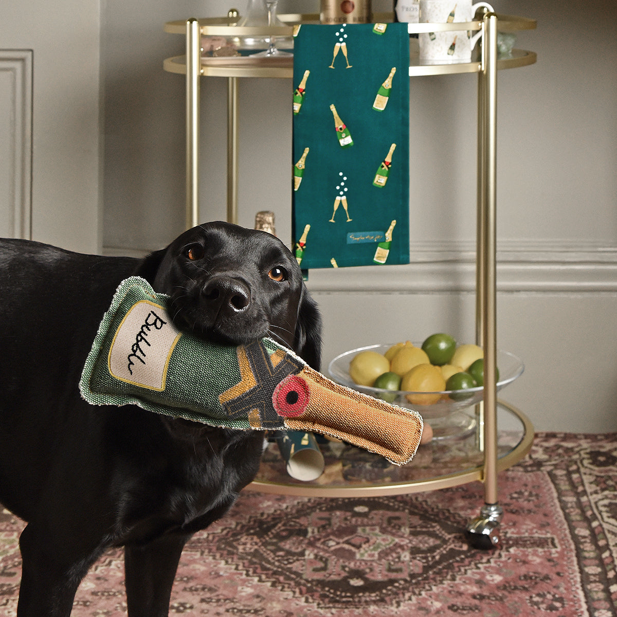 Bubbles & Fizz Dog Toy by Sophie Allport