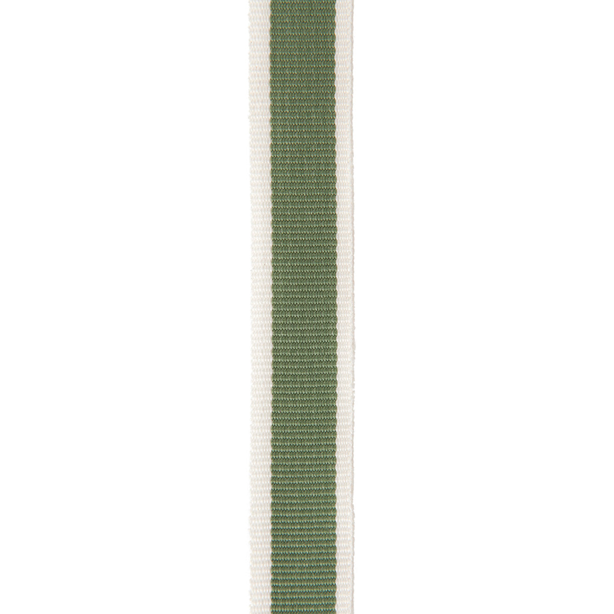 Leaf Green Stripe Ribbon by Sophie Allport